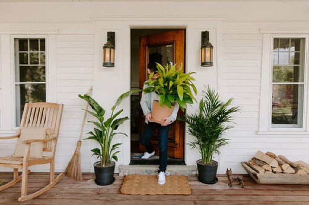 32 Stunning Entryway Decor Ideas With Plants That Welcome Home