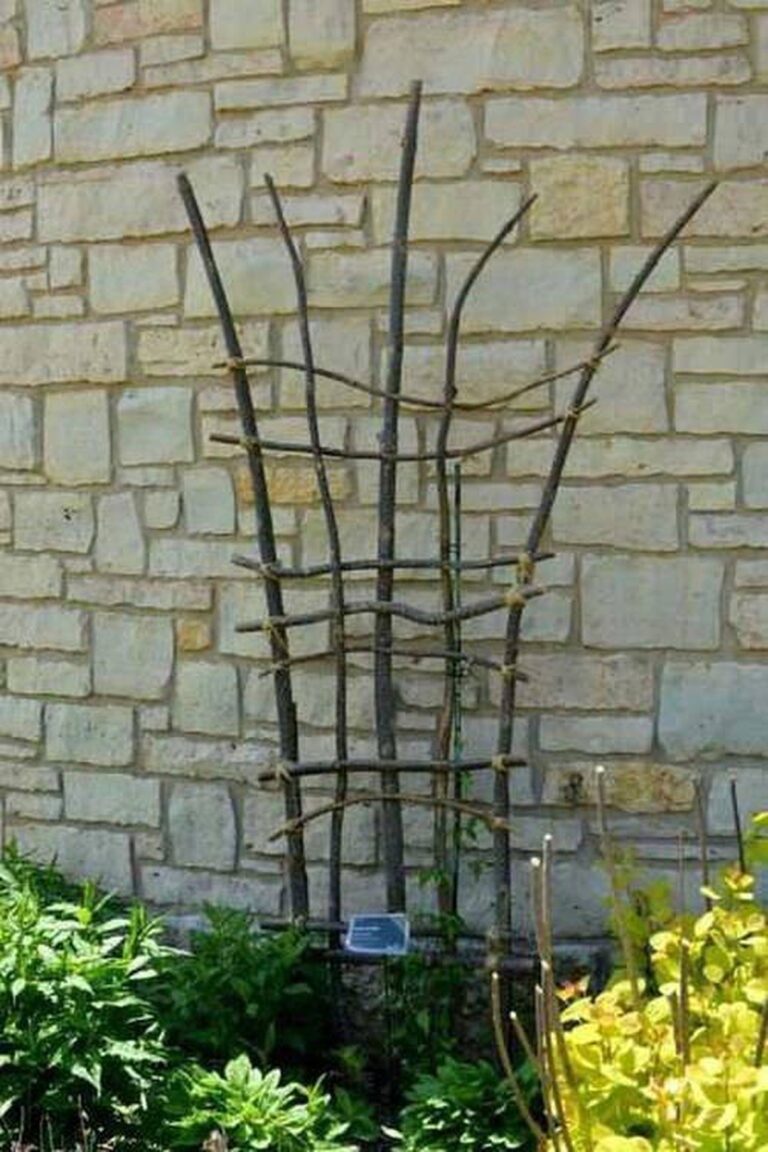 20 Charming DIY Garden Ladders and Trellises Using Tree Branches