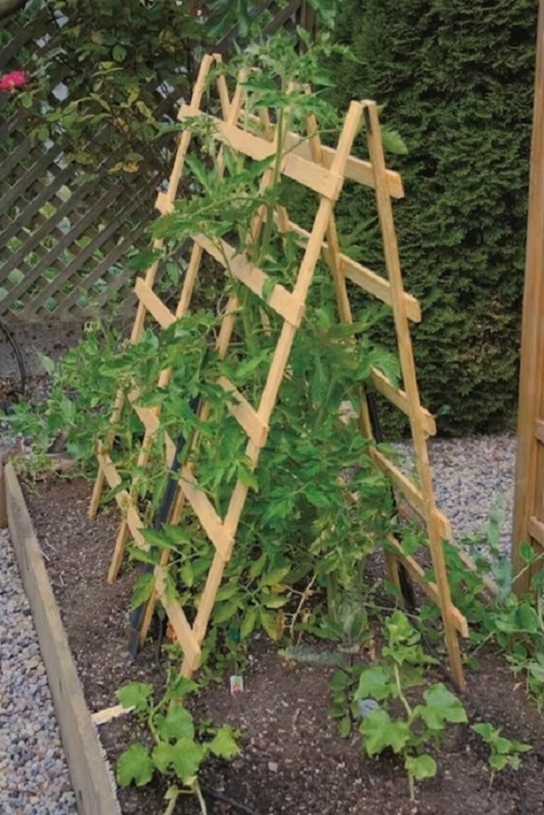 26 Simple and Creative DIY Bean Trellis Ideas for Your Garden