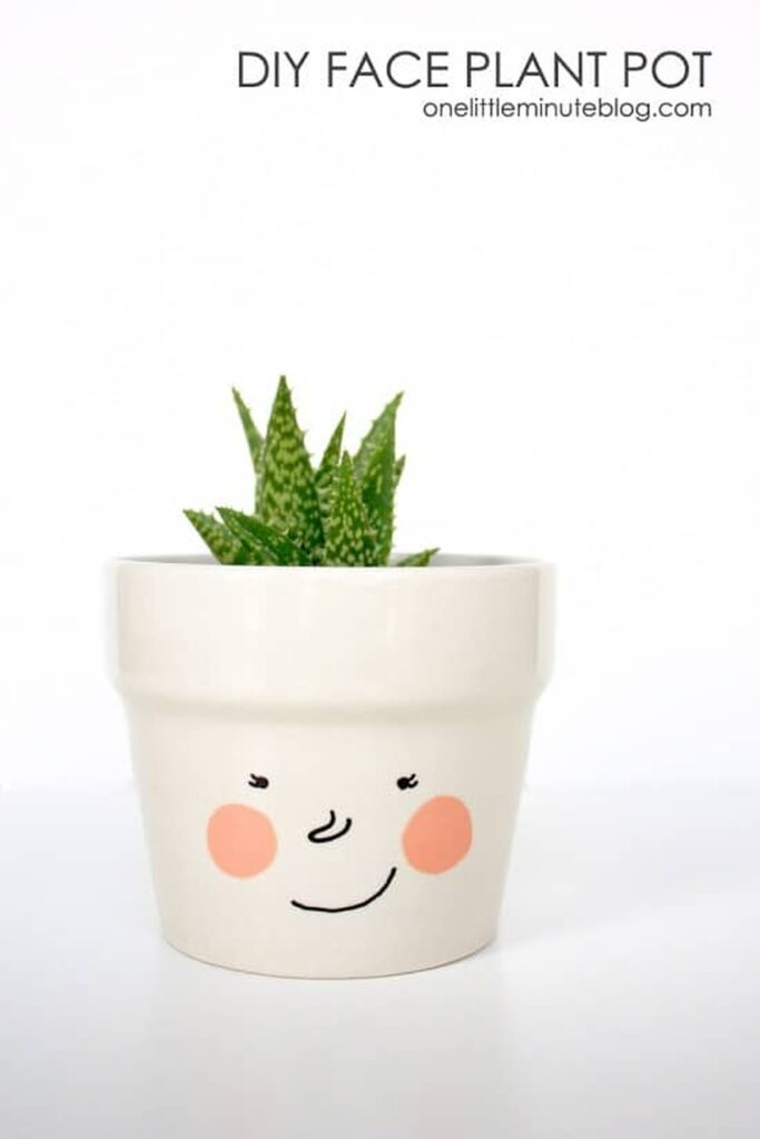 20 Simple DIY Face Planters to Make at Home in Minutes