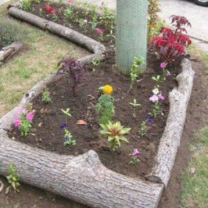 30 Charming DIY Lawn and Garden Edging Ideas to Transform Your Yard