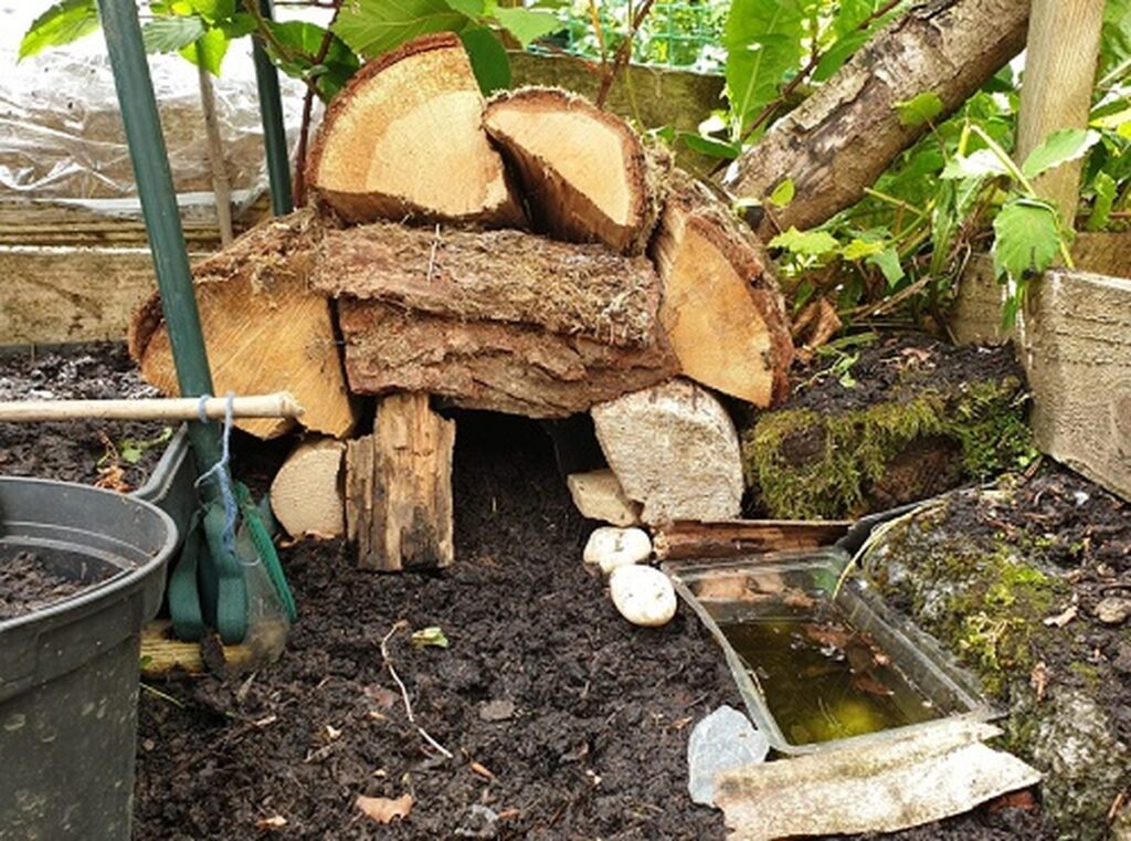 23 Cozy DIY Frog House Ideas That Keep Garden Pests Away