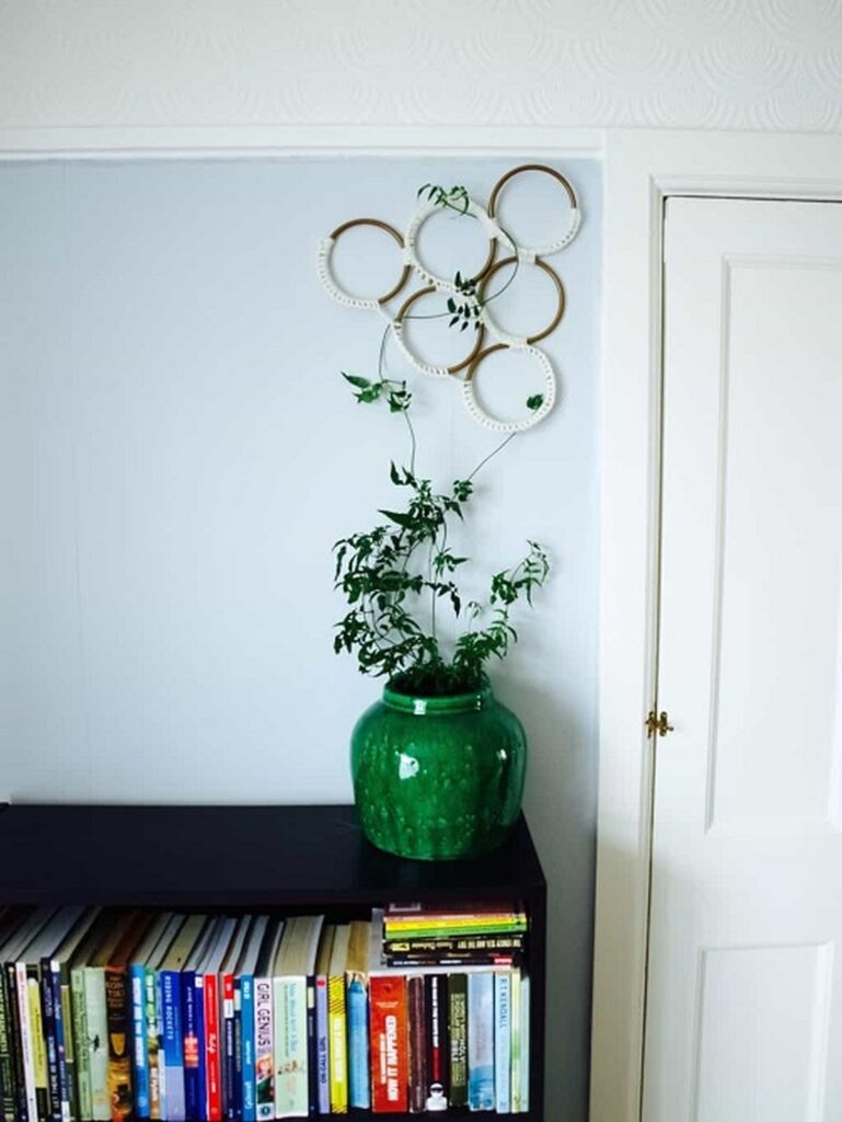 52 Stunning DIY Trellis for Plants Ideas to Transform Your Space