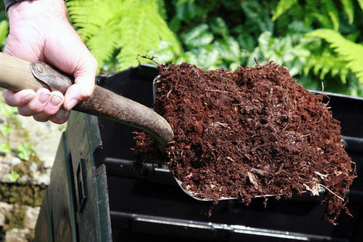 8 Surprising Reasons Why Putting Human Hair in Garden Works Wonders