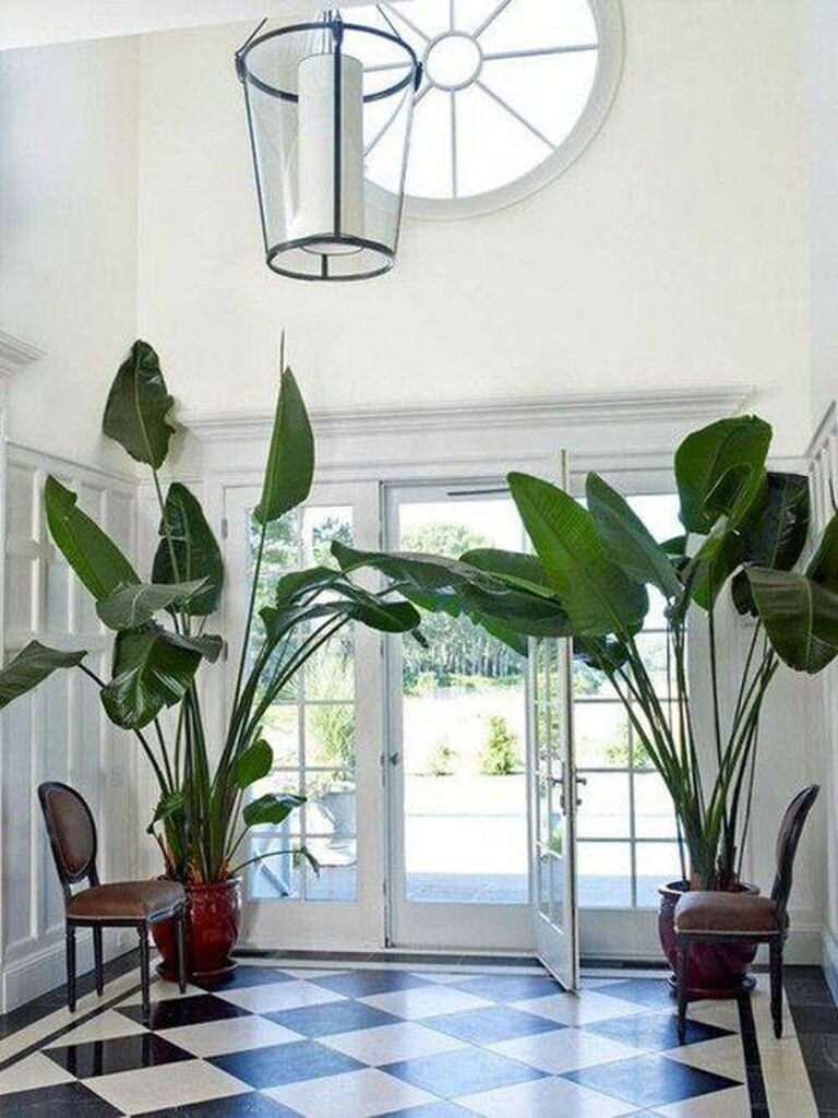 40 Stunning Indoor Plant Corner Ideas That Refresh Your Home