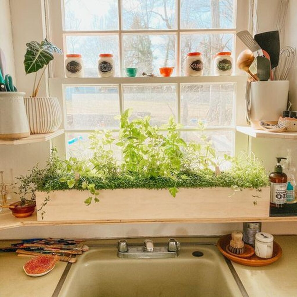 23 Brilliant Window Herb Garden Ideas for Fresh Home Cooking