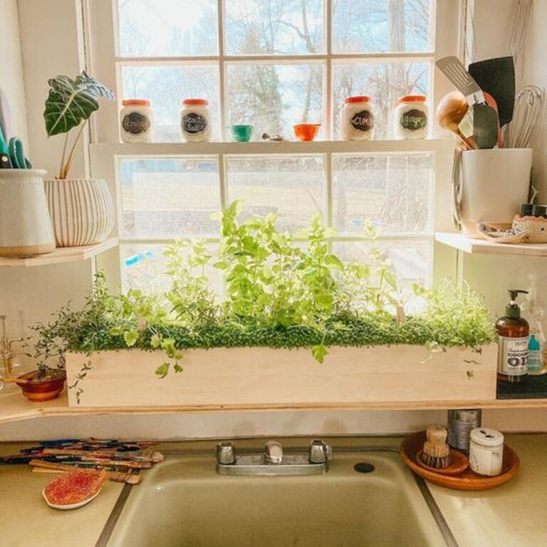 23 Brilliant Window Herb Garden Ideas for Fresh Home Cooking