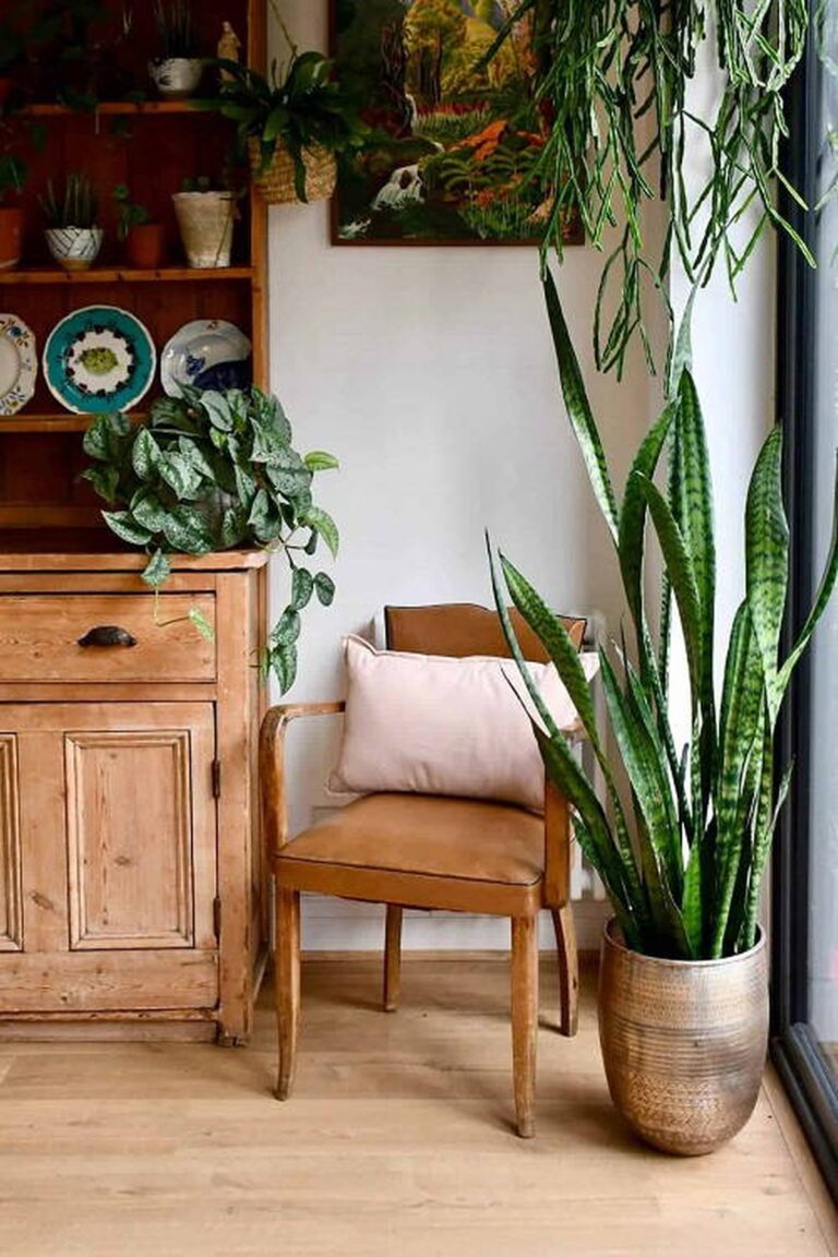 40 Stunning Indoor Plant Corner Ideas That Refresh Your Home