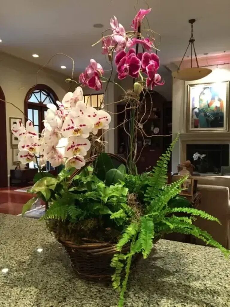 19 Stunning Orchid Arrangement Ideas to Brighten Your Space