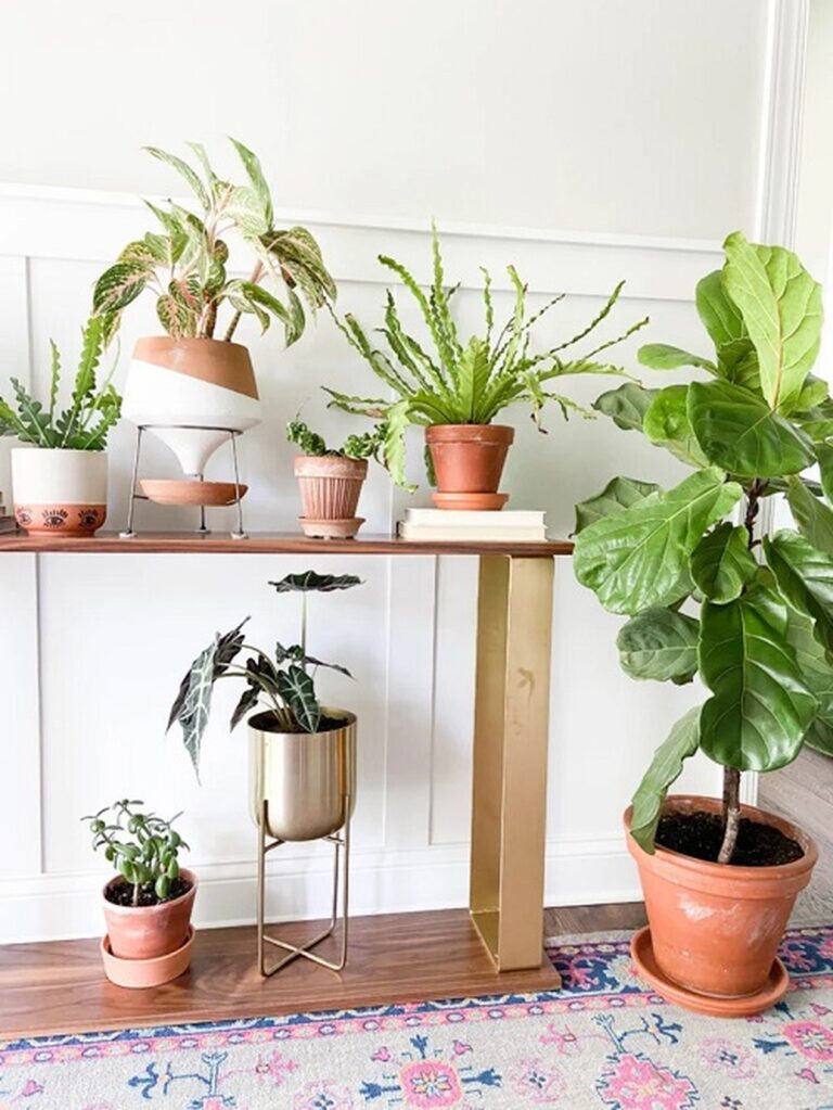 32 Refreshing Console Table Ideas with Plants for Cozy Homes