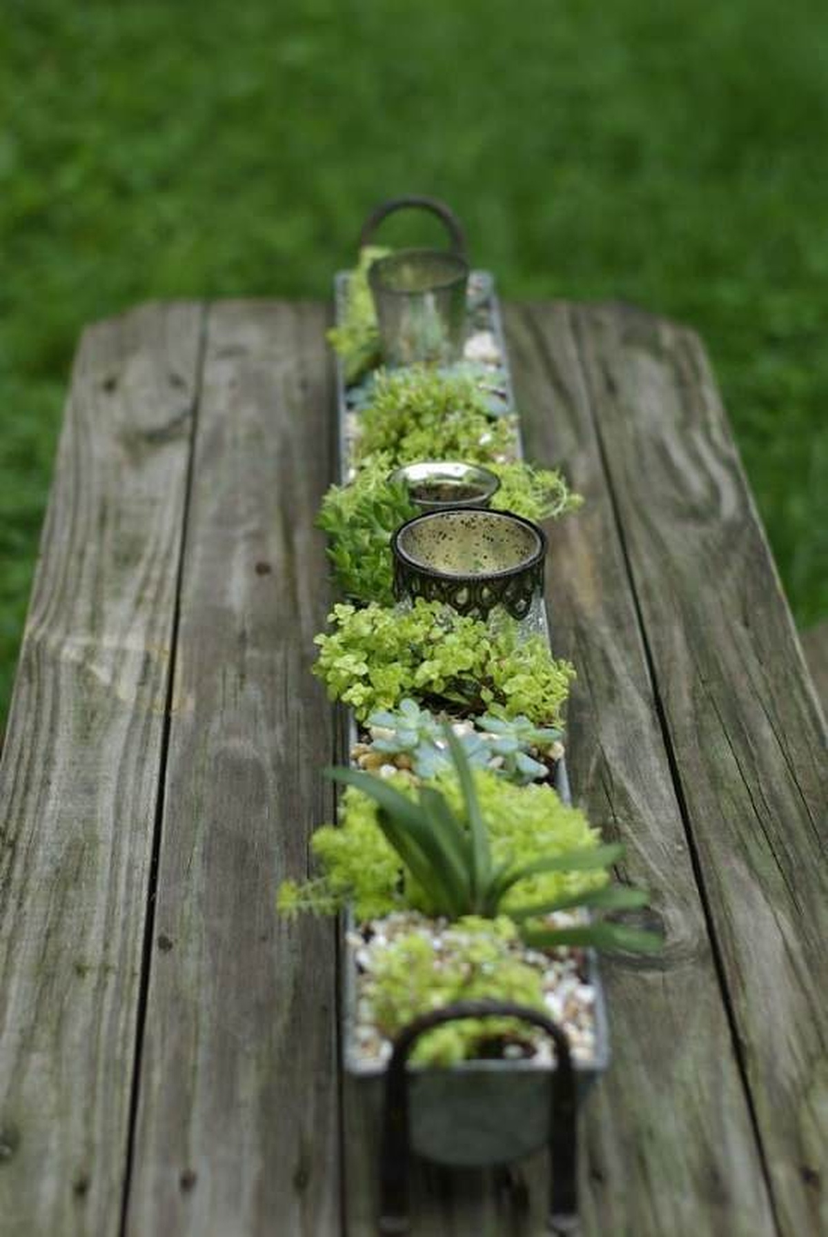 13 Clever Vertical DIY Rain Gutter Garden Ideas For Small Spaces