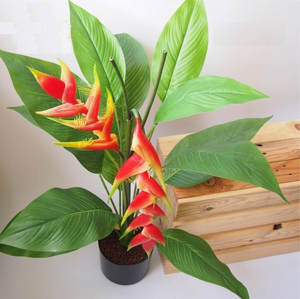 50 Beautiful Types of Cut Flowers for a Cut Flower Garden