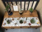 24 Fantastic DIY Plant Table Ideas That Brighten Any Home