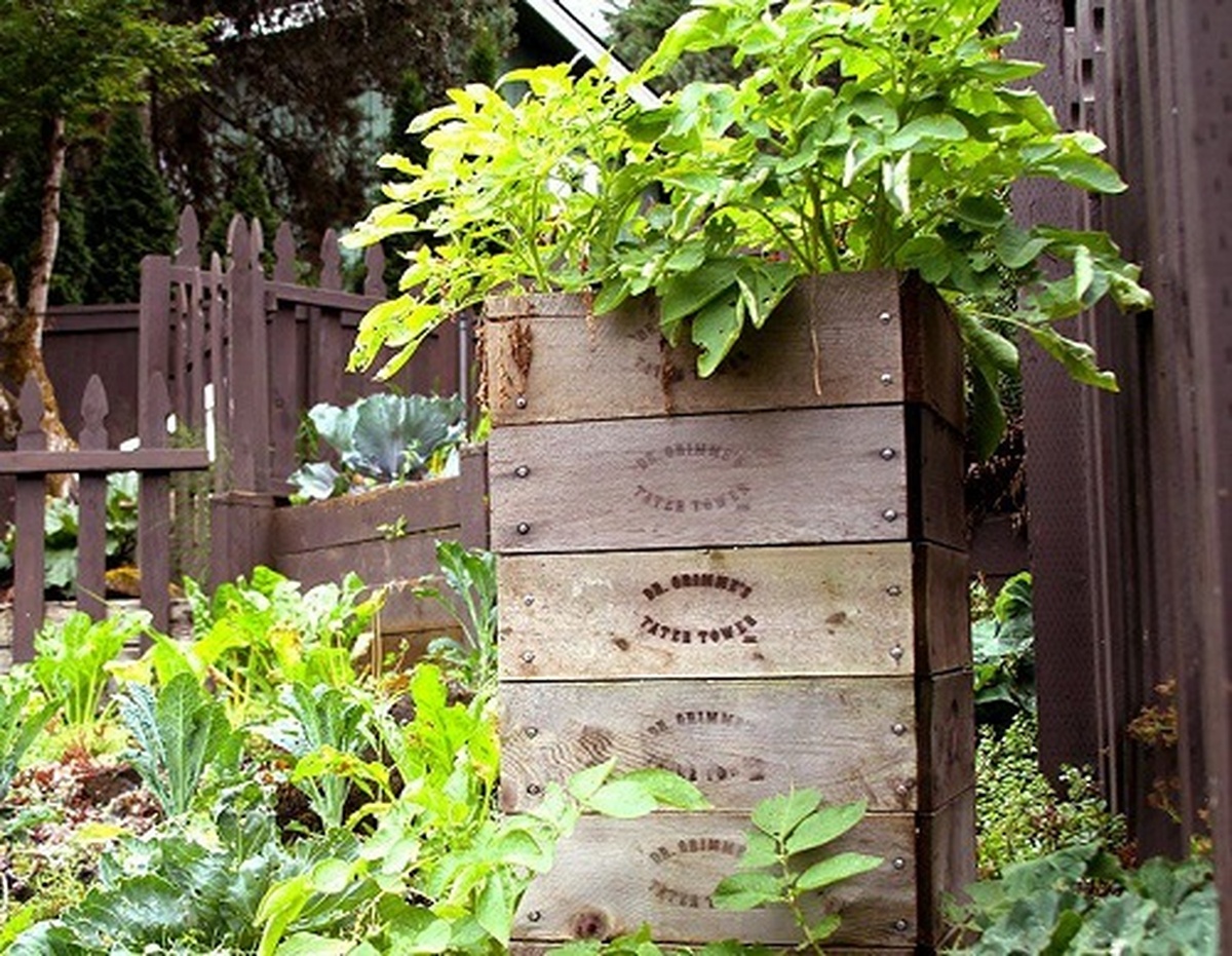12 Clever DIY Potato Pots for Easy, Dig-Free Growing