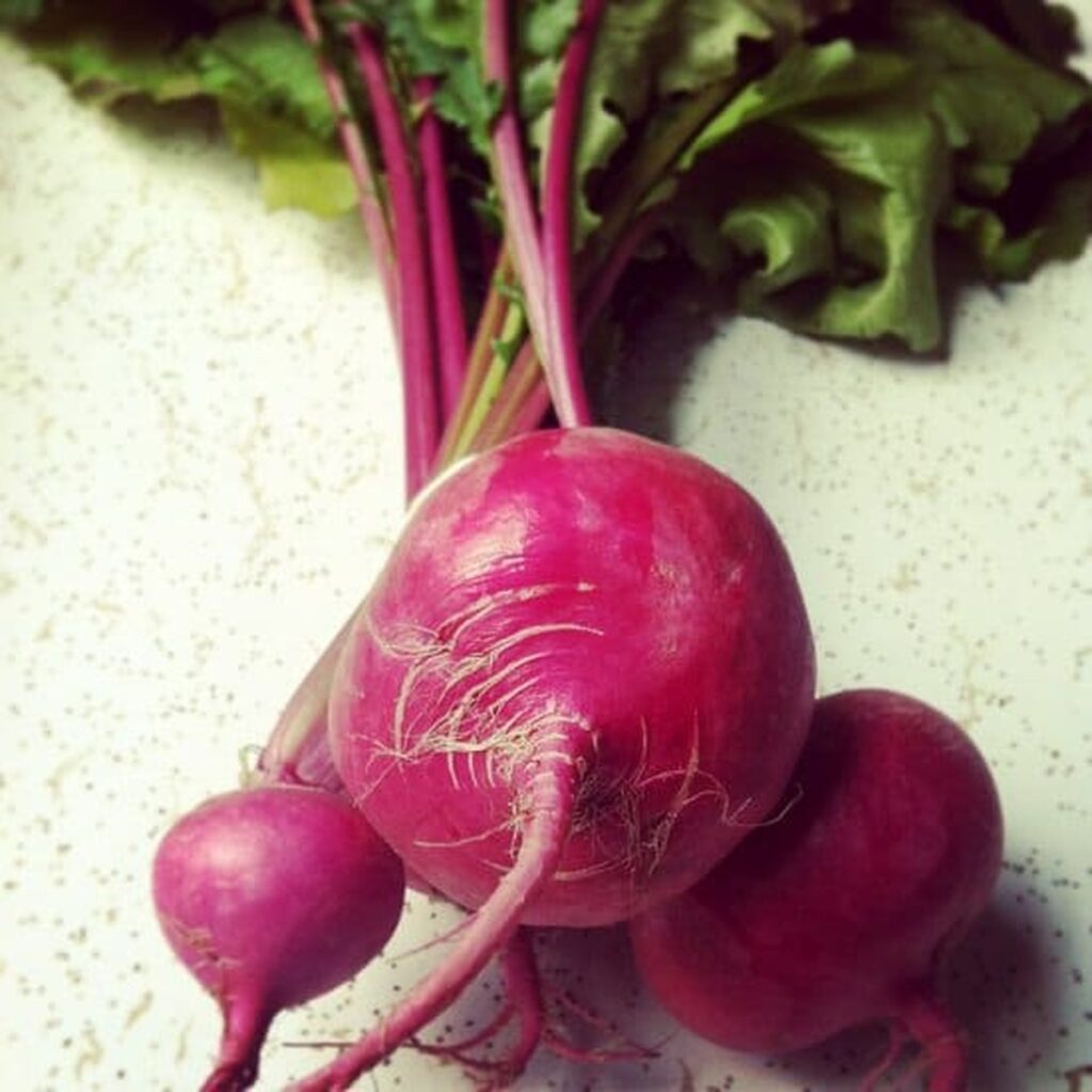 23 Delicious Types of Turnips: Best Varieties for Your Garden