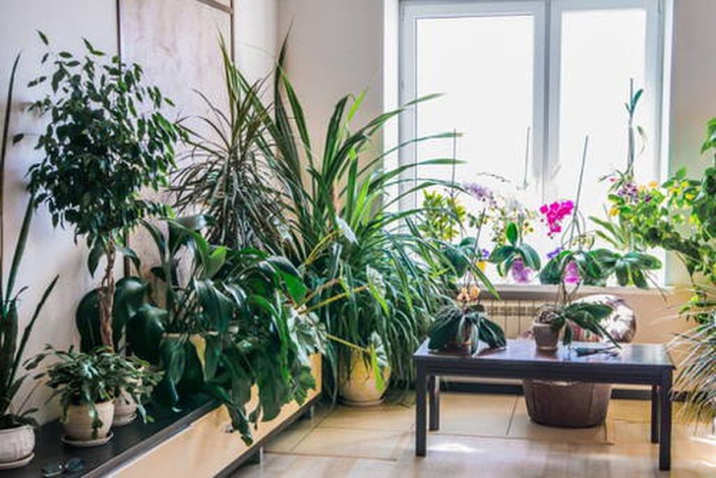 40 Stunning Indoor Plant Corner Ideas That Refresh Your Home