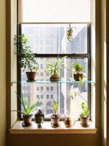 26 Charming Indoor Window Shelf Ideas for Plants to Brighten Up