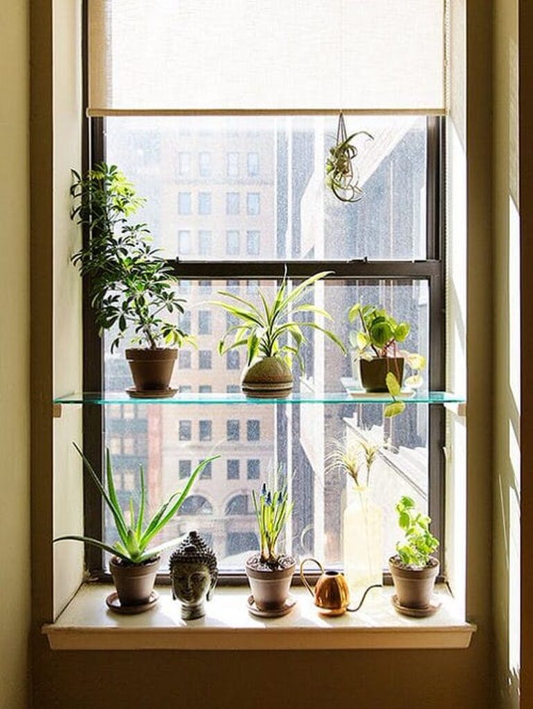 26 Charming Indoor Window Shelf Ideas for Plants to Brighten Up