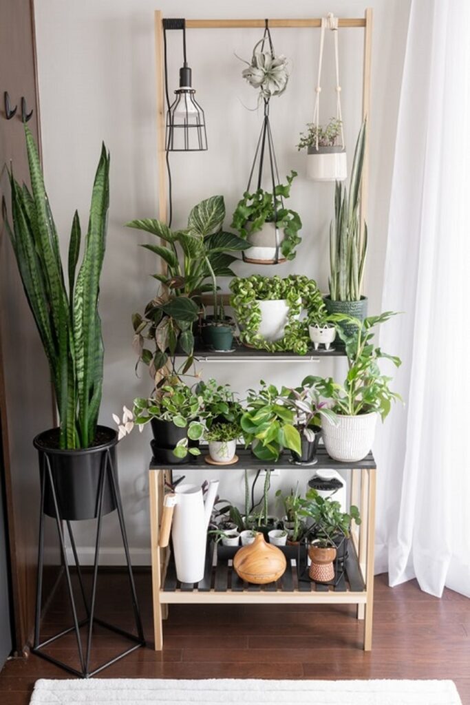 25 Gorgeous Indoor Plant Stands Ideas That Brighten Any Home