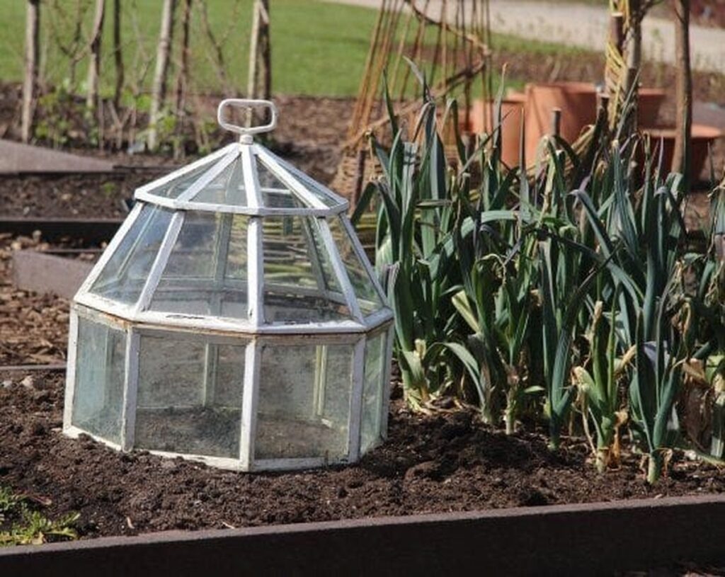 18 Amazing DIY Garden Cloche Ideas for Plant Protection