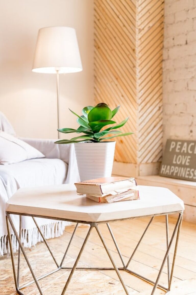 20 Charming Table Decorating Ideas with Small Potted Houseplants