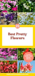 20 Beautiful Flowers for a Vibrant Garden Makeover
