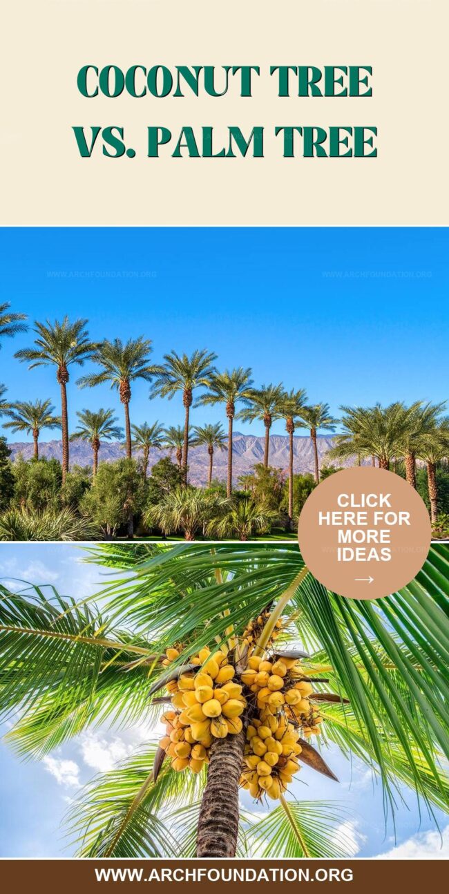 Differences Between Coconut Trees and Palm Trees