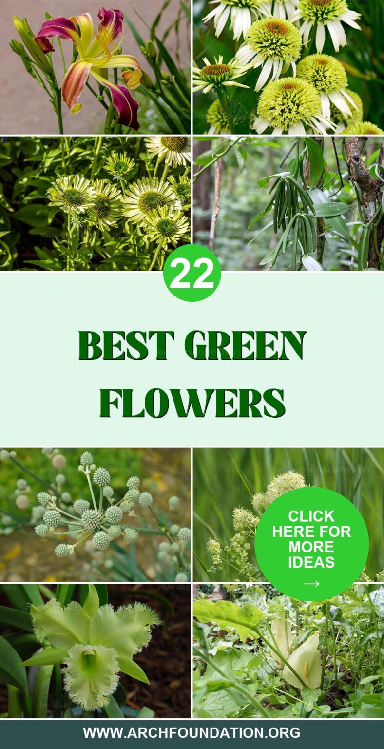 22 Stunning Types of Green Flowers for a Unique Garden