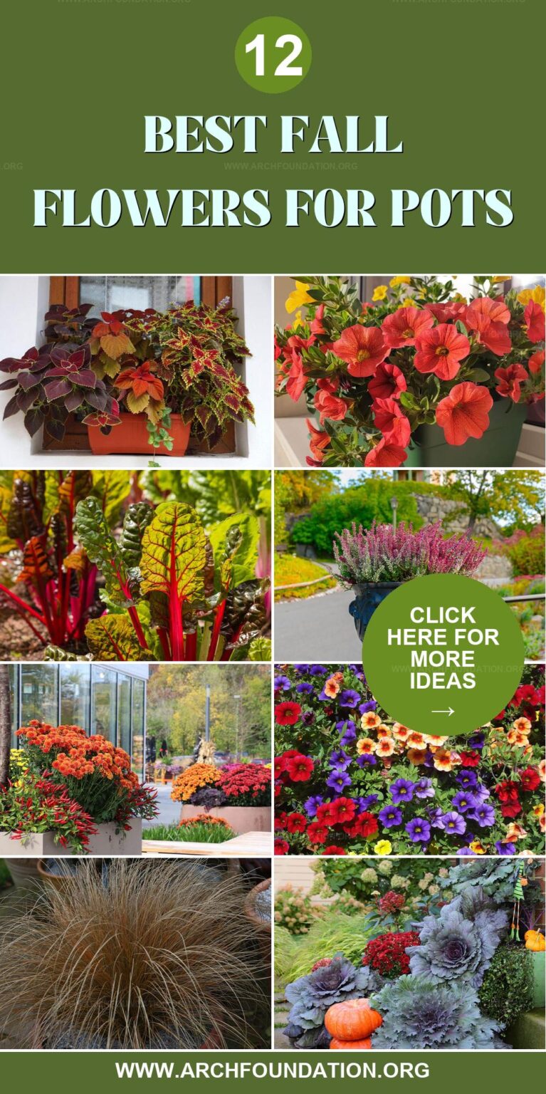12 Vibrant Fall Flowers Perfect for Pot Gardening