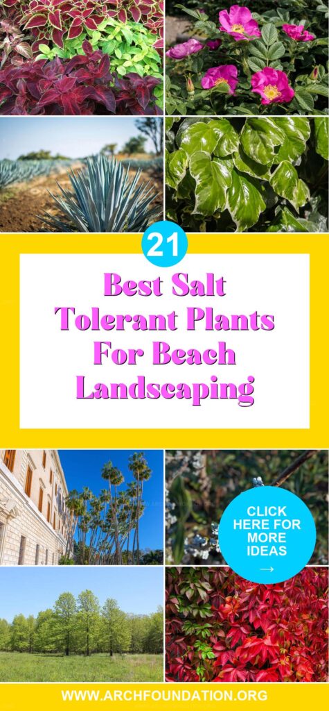21 Best Salt-Resistant Plants for Beachside Landscaping